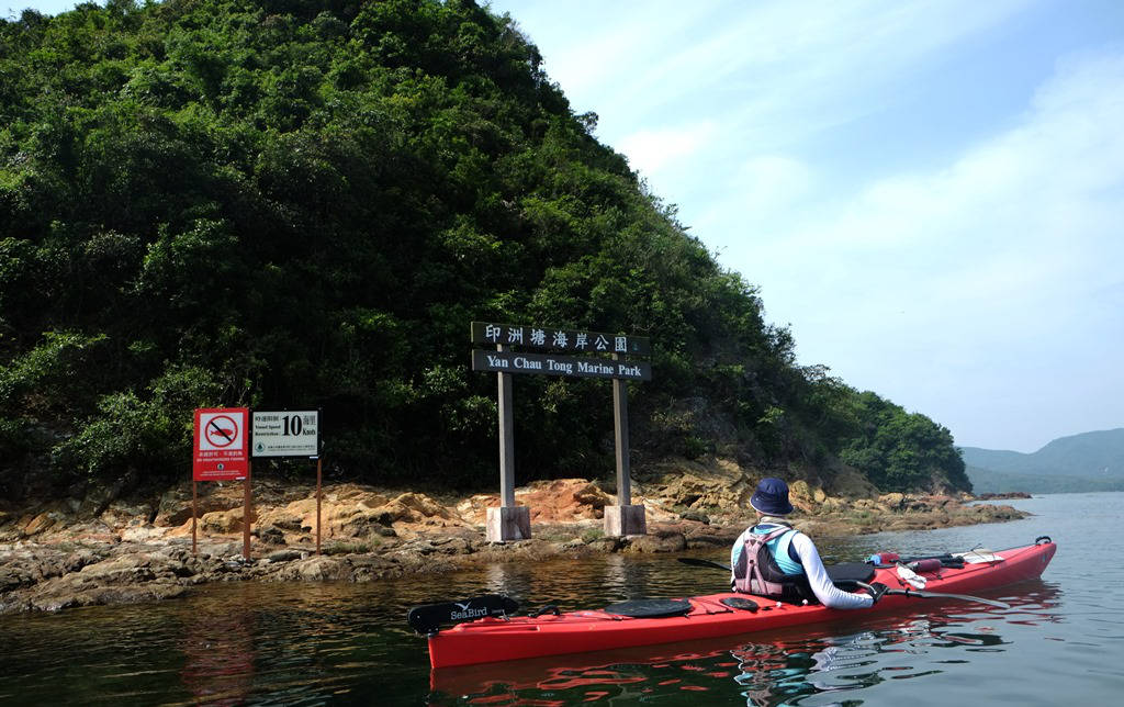 9 Amazing Spots For Kayaking in Hong Kong - The HK HUB - 伟德国际亚洲1946官方网